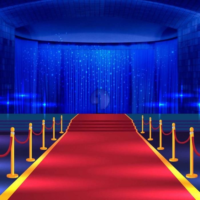 Pillar Red Carpet Computer Printed Photography Backdrop, Stage Carpet ...