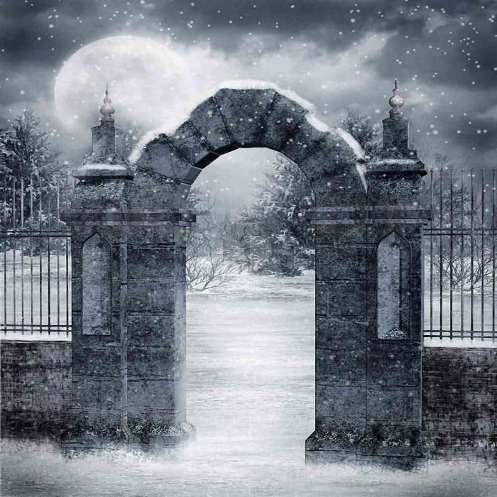 Lowest Temperature Computer Printed Photography Backdrop, DGX-369 ...