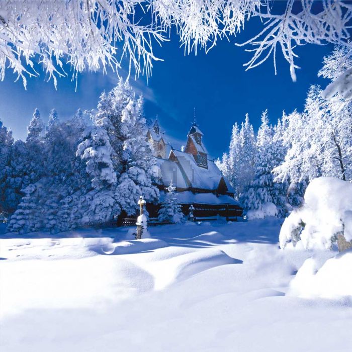 Beautiful Snow Scenes