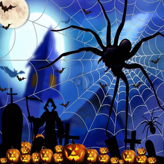 Huge Spider Digital Printed Photography Backdrop, YHB-304 Backdrop ...