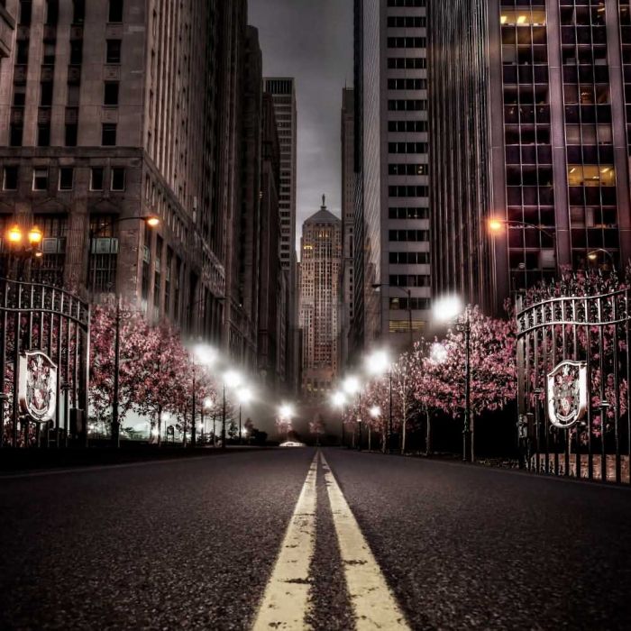 City Street Tree Light Computer Printed Photography Backdrop, City ...
